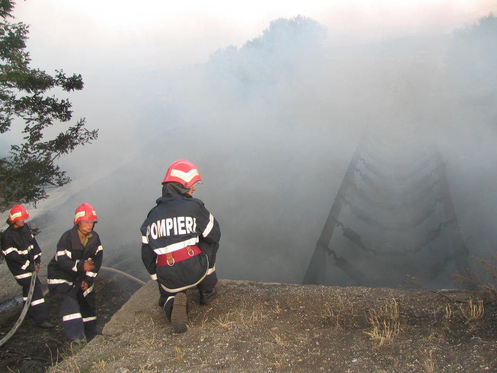 Mehedinți: Incendiu stins de pompieri cu saci stingători
