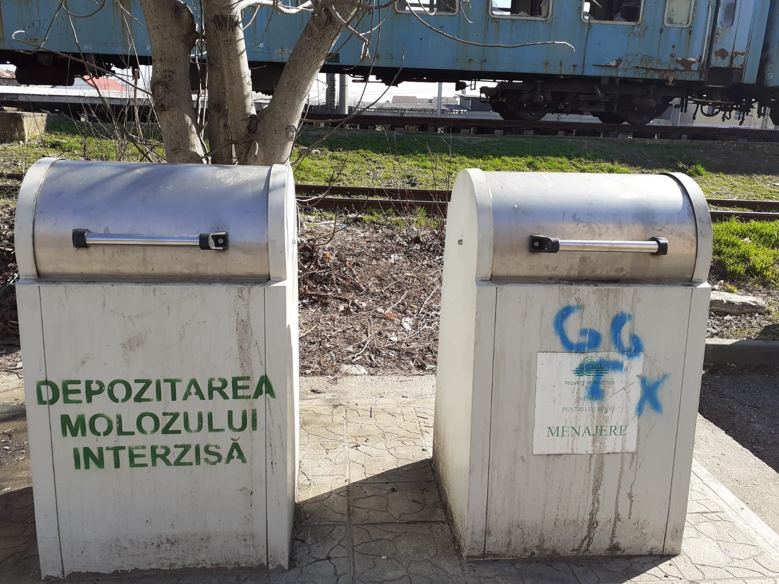 Aruncarea gunoiului, aventură pentru unii târgujieni! Poliția Locală a ...