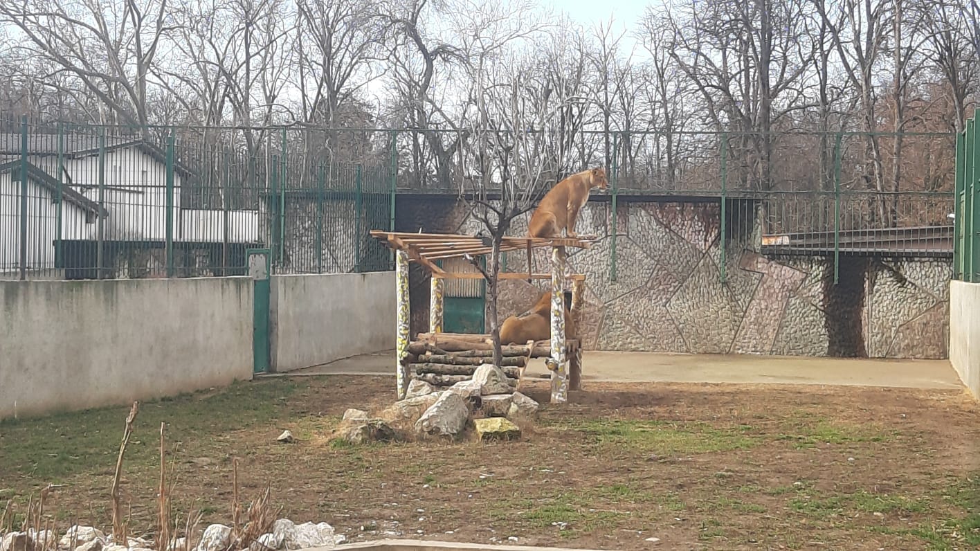 Vizită la Zoo Craiova - Jurnalul Olteniei - Stiri regionale din Oltenia