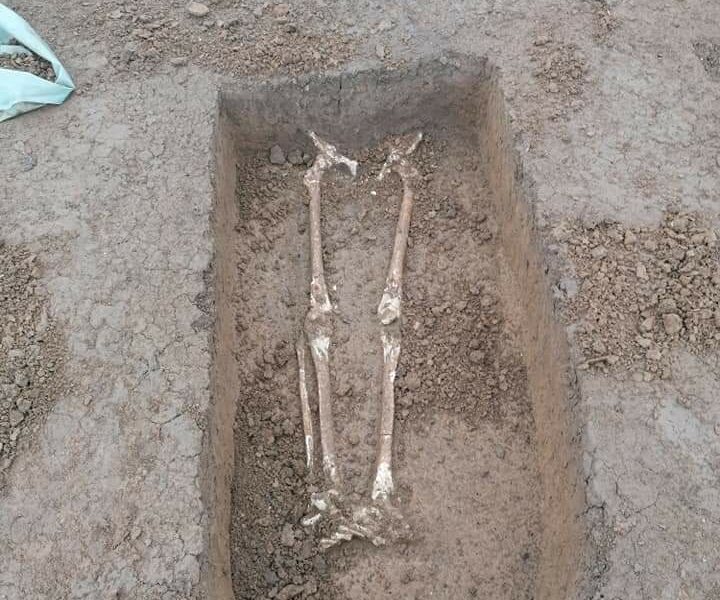 Video/Schelete umane pe șantierul DX Craiova-Pitești - Stiri regionale ...