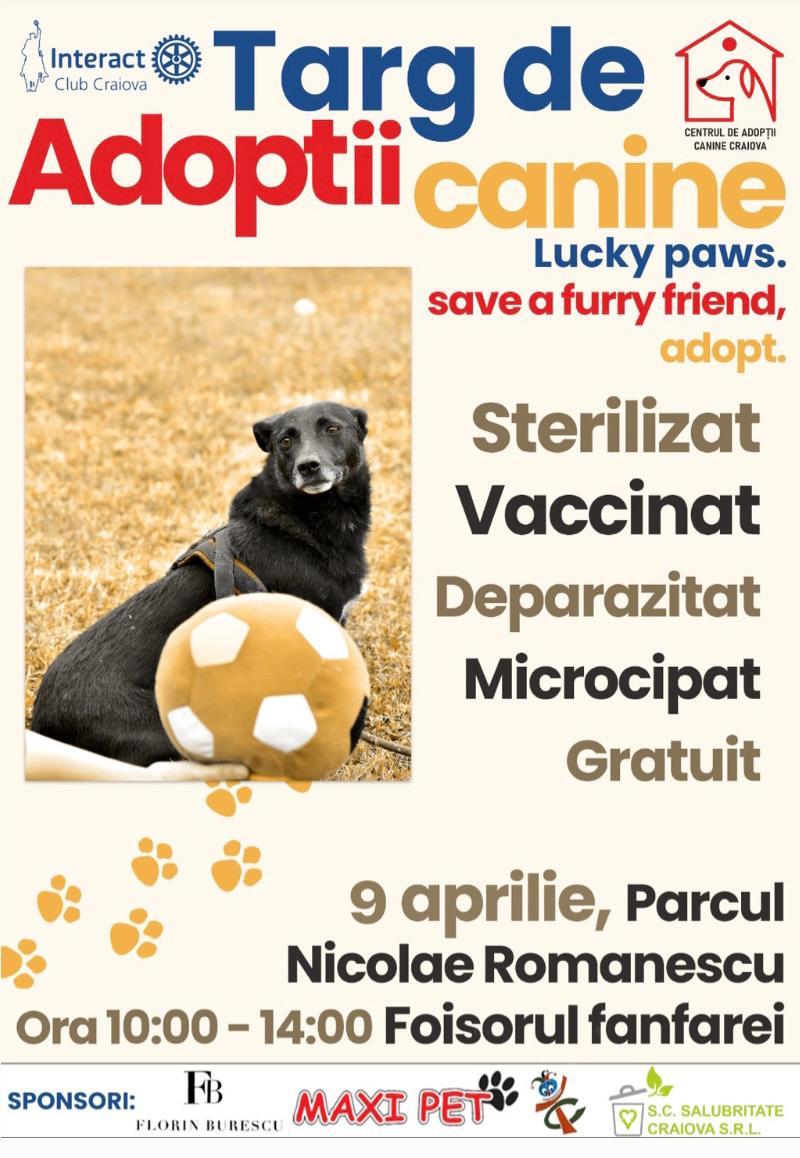 Craiova. Târg de adopții canine, sâmbătă, în Parcul Romanescu - Jurnalul Olteniei - Stiri ...